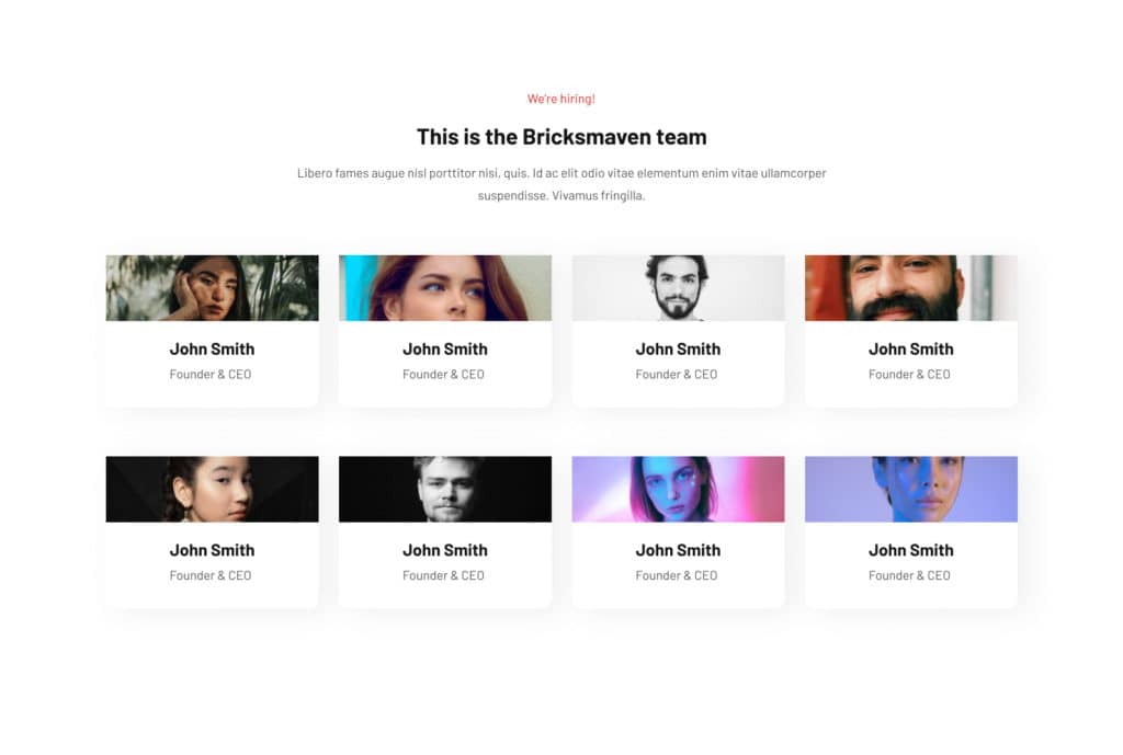 Alpha Library – Bricksmaven