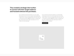 Alpha Library | Bricksmaven